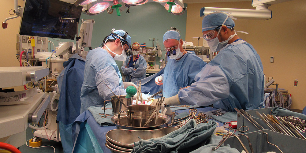 Philanthropy supports a North American first in kidney transplant – UHN ...