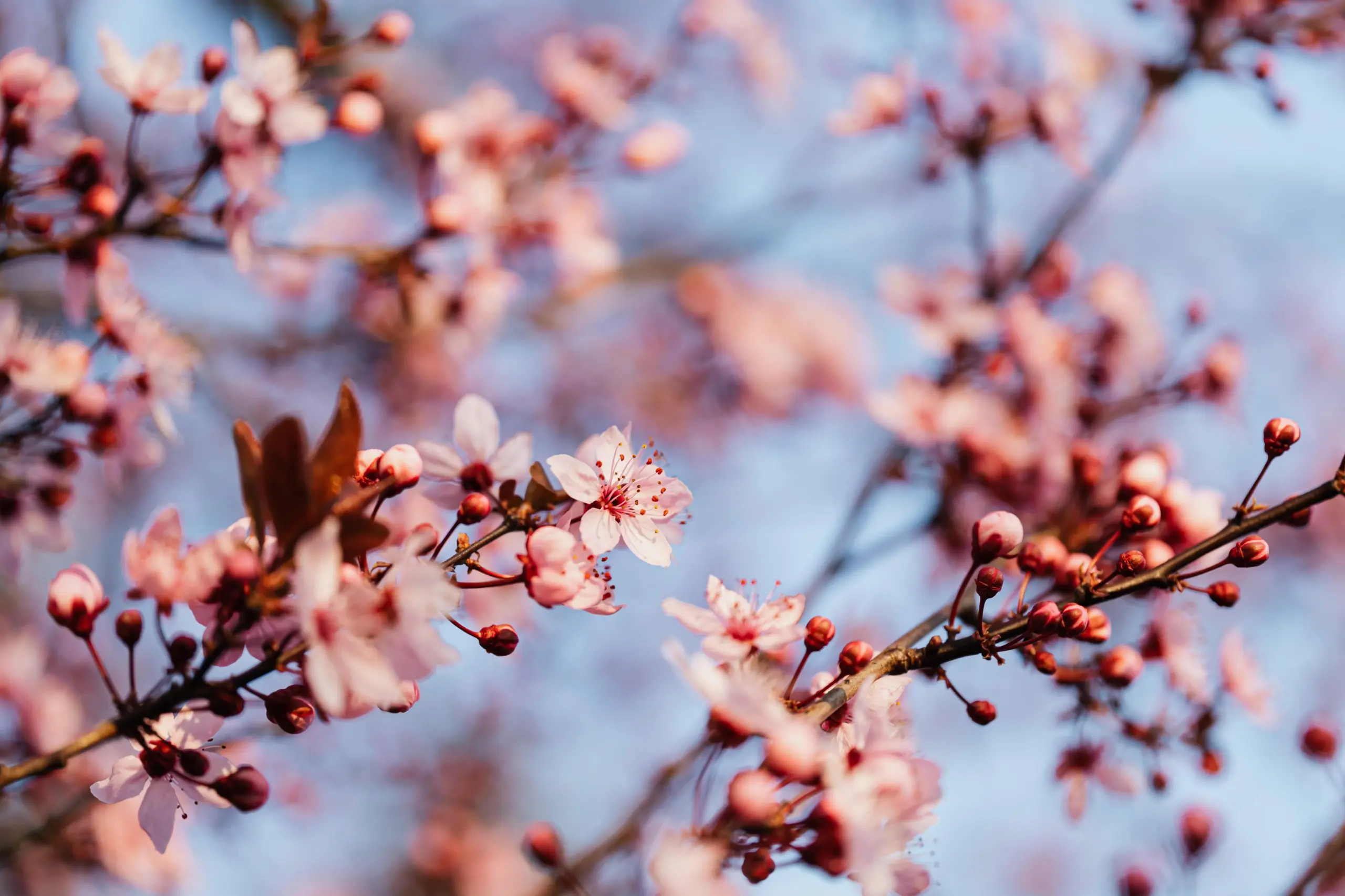 5 tips for spring wellness – UHN Foundation