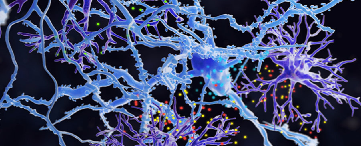 Cleaning up after neurons – UHN Foundation