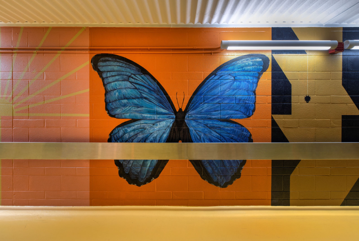 Introducing the revitalized tunnels beneath Toronto's hospital row ...