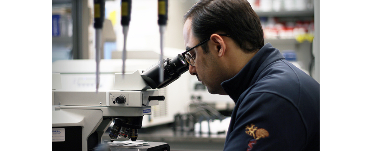 Study using novel approach for glioblastoma treatment 'very promising ...